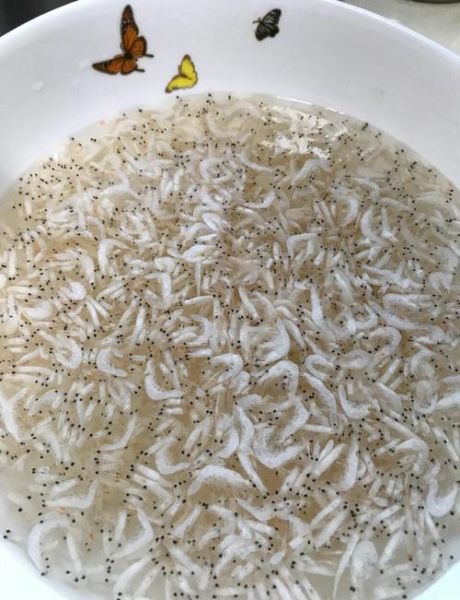 虾皮粉怎么做_虾皮粉保存多久-第1张图片-山城妙识