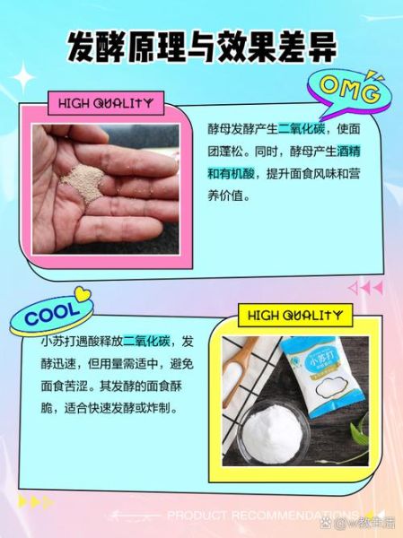 酵母粉和小苏打的区别_哪个更健康-第1张图片-山城妙识