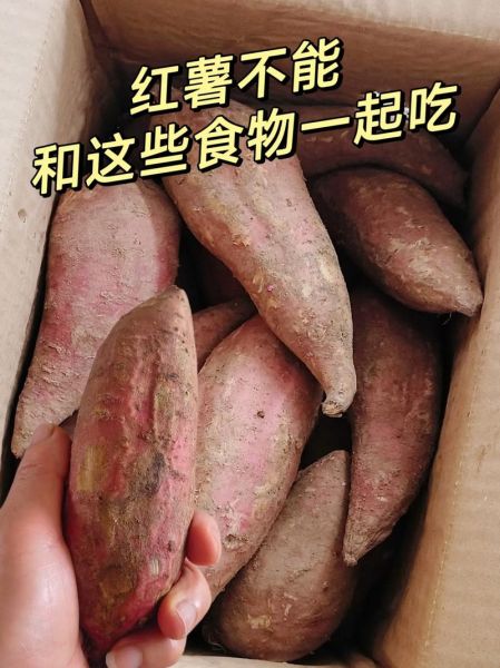 山药和红薯能一起吃吗_山药红薯同食禁忌-第1张图片-山城妙识