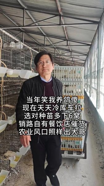 肉鸽养殖成本与利润_肉鸽养殖赚钱吗-第3张图片-山城妙识