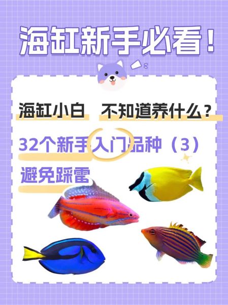 海水鱼图鉴大全_如何挑选健康海水观赏鱼-第1张图片-山城妙识