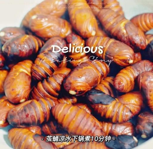 干煸蚕蛹怎么做好吃_干煸蚕蛹做法步骤图-第1张图片-山城妙识