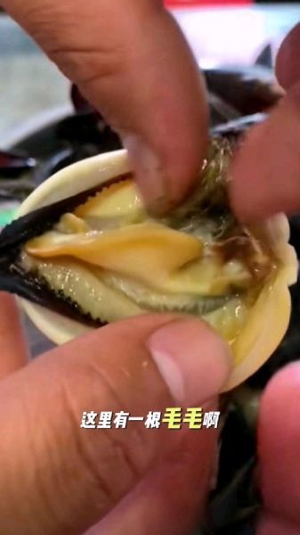 青口贝哪些部位不能吃_青口贝内脏怎么分辨-第3张图片-山城妙识