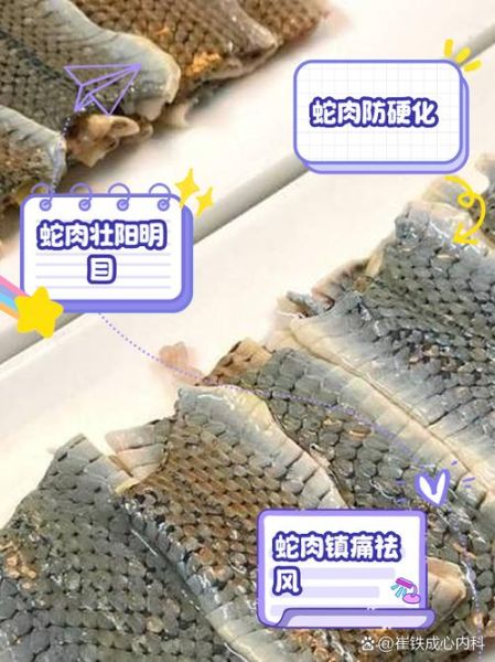 菜花蛇能吃吗_菜花蛇有毒吗-第2张图片-山城妙识 菜花蛇能吃吗_菜花蛇有毒吗-第2张图片-山城妙识