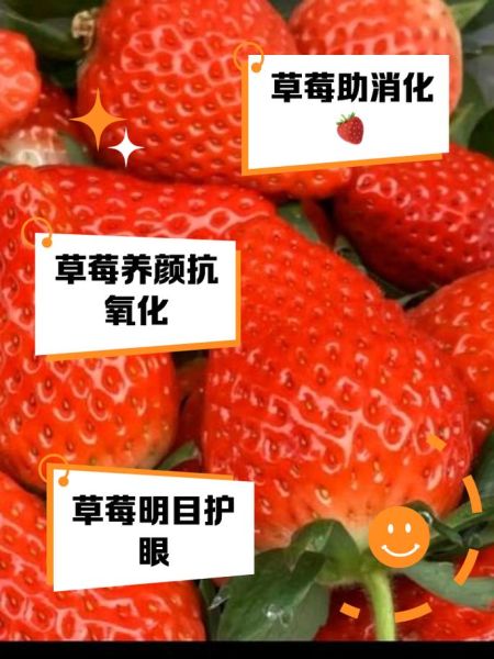 西班牙草莓的营养价值_西班牙草莓能减肥吗-第1张图片-山城妙识