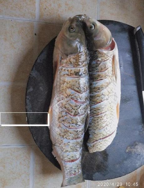 锡纸烤鱼的做法大全_锡纸烤鱼怎么做才入味-第3张图片-山城妙识