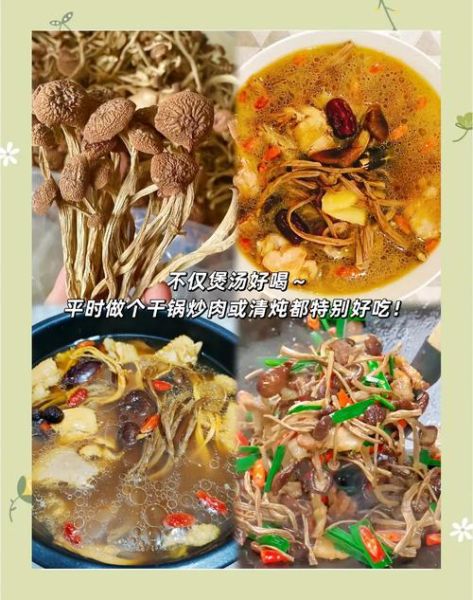 茶树菇汤的做法_茶树菇汤的功效与禁忌-第3张图片-山城妙识