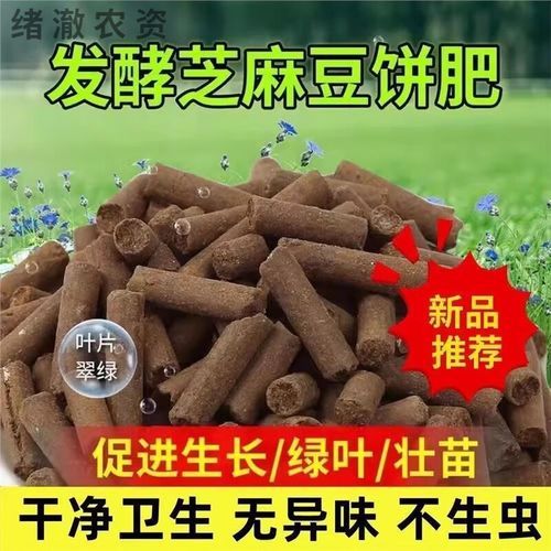 豆饼肥怎么用_豆饼肥使用方法-第3张图片-山城妙识