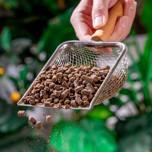 豆饼肥怎么用_豆饼肥使用方法-第1张图片-山城妙识