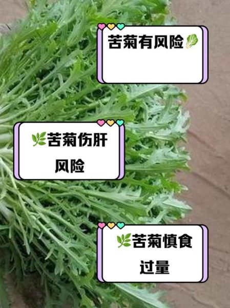 苦菊吃多了有什么副作用_苦菊一天吃多少合适-第3张图片-山城妙识
