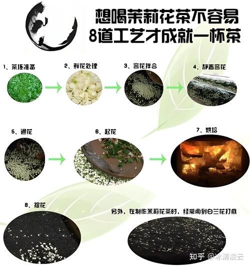 茉莉茉莉花茶花茶的功效与作用_茉莉花茶怎么喝最养生-第3张图片-山城妙识