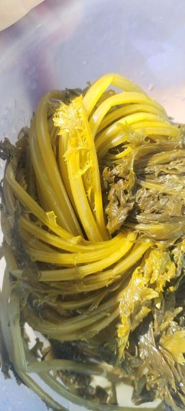 雪里蕻腌制多久可以吃_腌制几天能放心吃-第1张图片-山城妙识