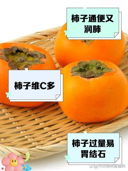 柿子吃多了有什么好处和坏处_吃柿子要注意什么-第2张图片-山城妙识