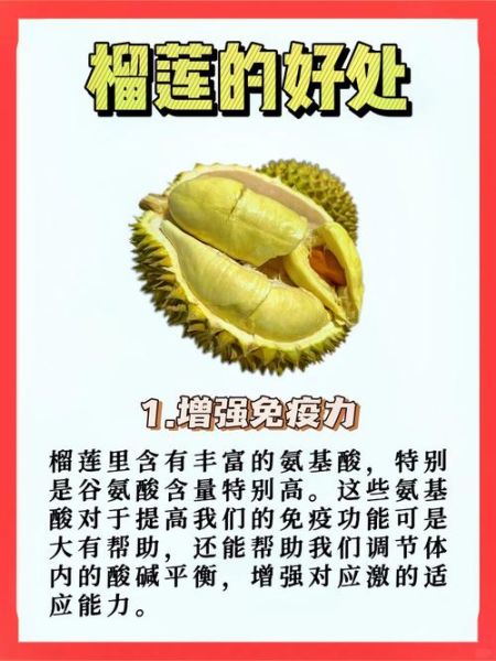 一天吃一整个榴莲可以吗_榴莲一天吃多少合适-第1张图片-山城妙识