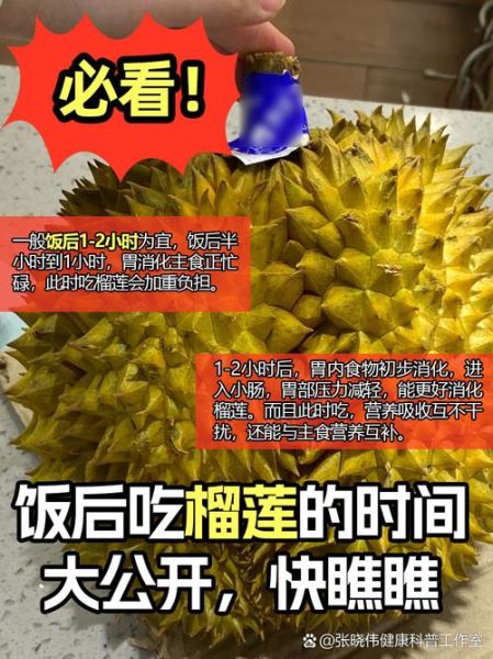 一天吃一整个榴莲可以吗_榴莲一天吃多少合适-第2张图片-山城妙识