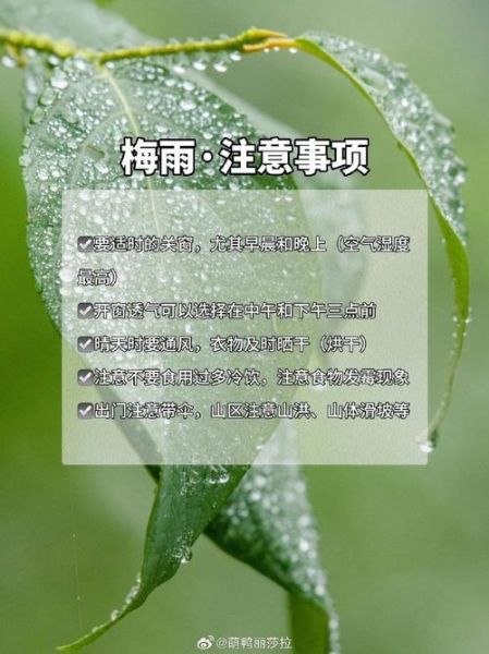 梅子黄时日日晴_为什么今年梅雨不下雨-第2张图片-山城妙识