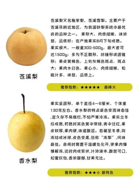 中国最好吃的梨有哪些_产地与口感全解析-第1张图片-山城妙识