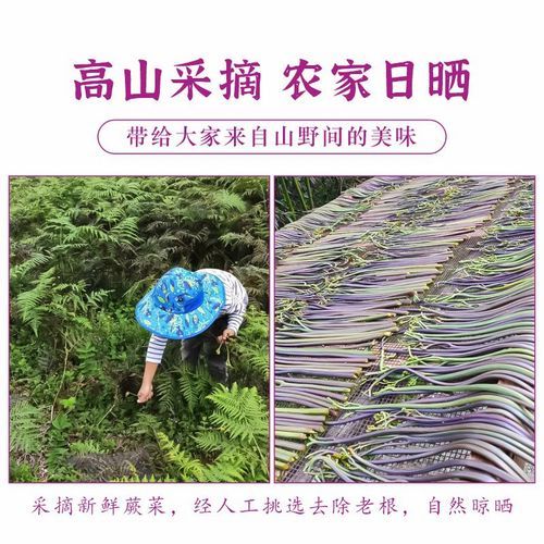 蕨菜干怎么泡发_蕨菜干的做法大全-第1张图片-山城妙识