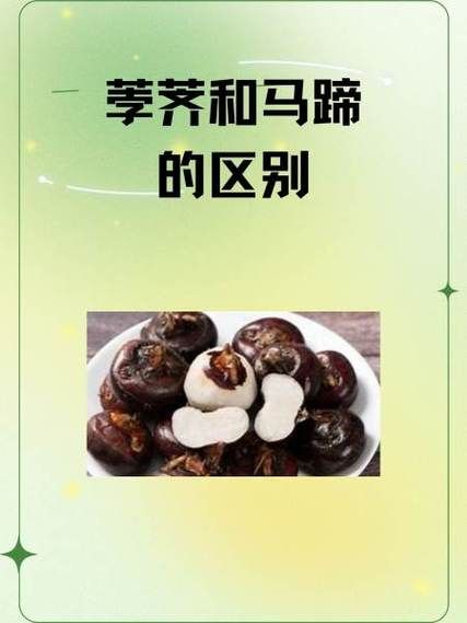 荸荠怎么读_荸荠和马蹄的区别-第2张图片-山城妙识