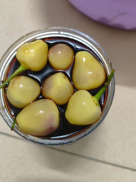 灯笼椒怎么做好吃_灯笼椒的做法大全-第1张图片-山城妙识