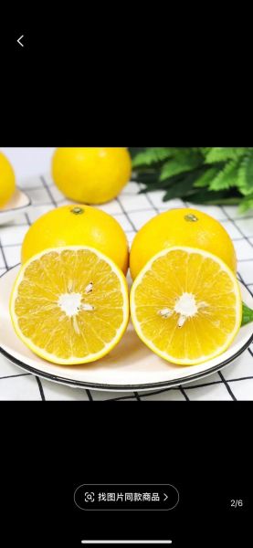 葡萄柚图片怎么拍好看_葡萄柚图片拍摄技巧-第3张图片-山城妙识