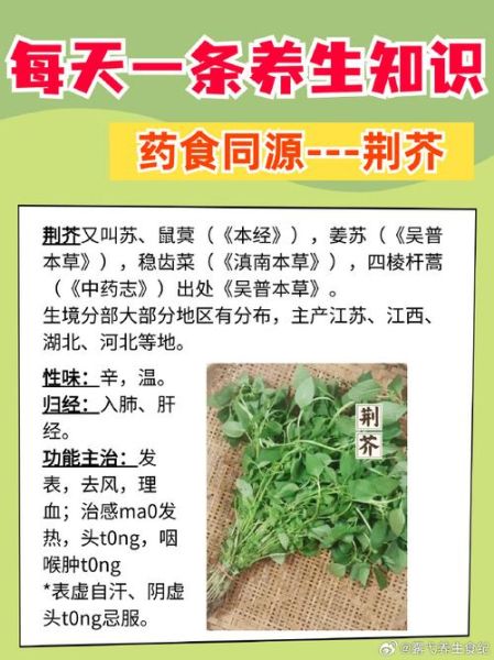 荆芥怎么吃_荆芥有什么功效-第1张图片-山城妙识 荆芥怎么吃_荆芥有什么功效-第1张图片-山城妙识
