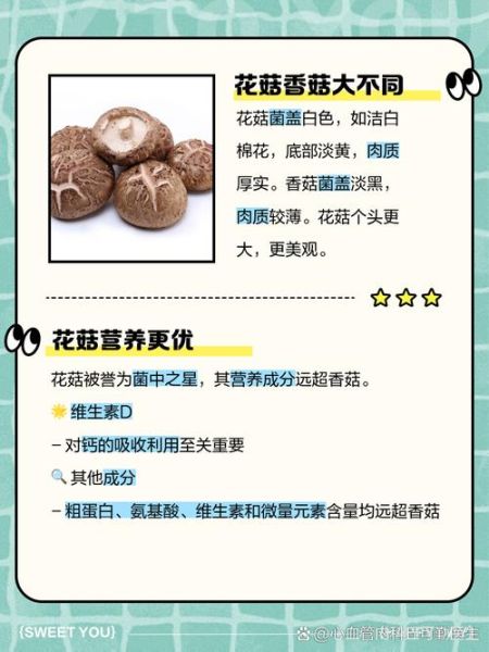 花菇是香菇吗_花菇和香菇的区别-第2张图片-山城妙识 花菇是香菇吗_花菇和香菇的区别-第2张图片-山城妙识