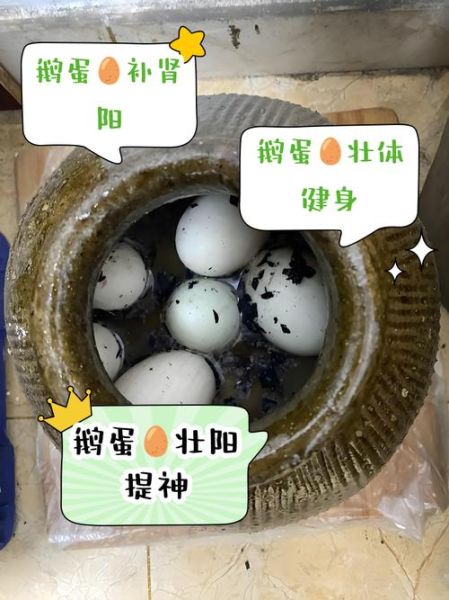 鹅蛋壮阳是真的吗_鹅蛋能提高性功能吗-第1张图片-山城妙识 鹅蛋壮阳是真的吗_鹅蛋能提高性功能吗-第1张图片-山城妙识