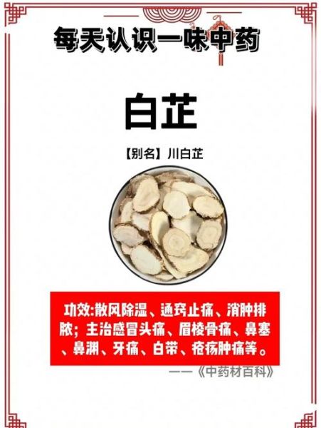 白芷的功效与作用_白芷主治哪些疾病-第3张图片-山城妙识