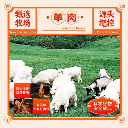 羊肉卷多少钱一斤_怎么挑选便宜又新鲜的羊肉卷-第2张图片-山城妙识