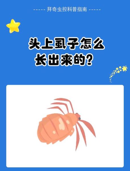 虱怎么读_虱子读音是什么-第1张图片-山城妙识 虱怎么读_虱子读音是什么-第1张图片-山城妙识