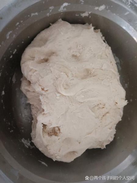 快速发面的方法_如何让面团一小时发好-第3张图片-山城妙识