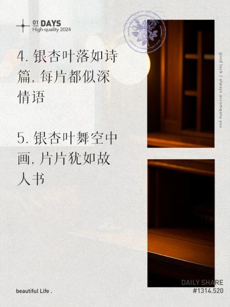 银杏树叶子像什么_二年级写作怎么写-第3张图片-山城妙识