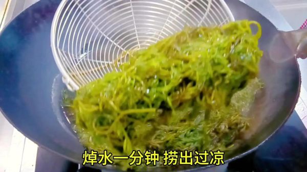 长寿菜的做法大全_长寿菜怎么做好吃-第1张图片-山城妙识