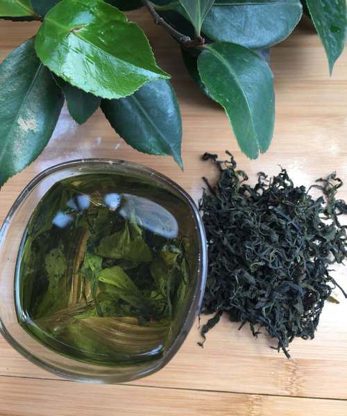 杜仲叶的功效与作用_杜仲叶能治什么病-第2张图片-山城妙识