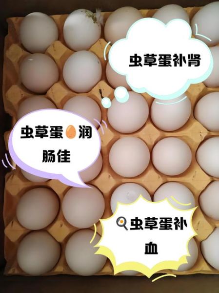 生鸡蛋的功效与作用_生鸡蛋能直接吃吗-第3张图片-山城妙识