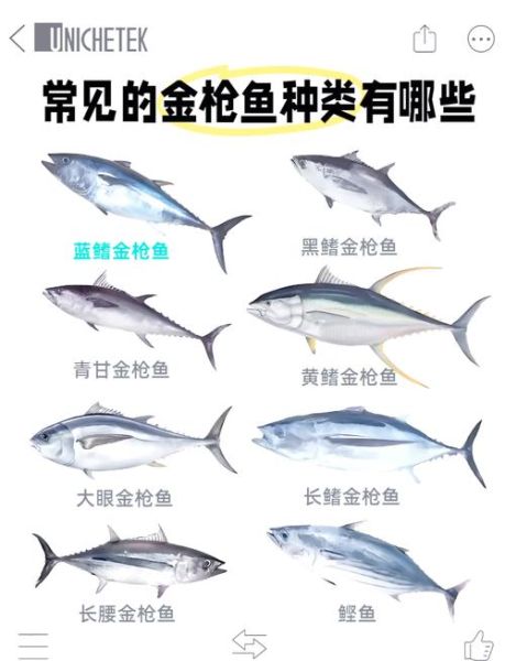 金枪鱼哪些人不能吃_孕妇能吃金枪鱼吗-第3张图片-山城妙识
