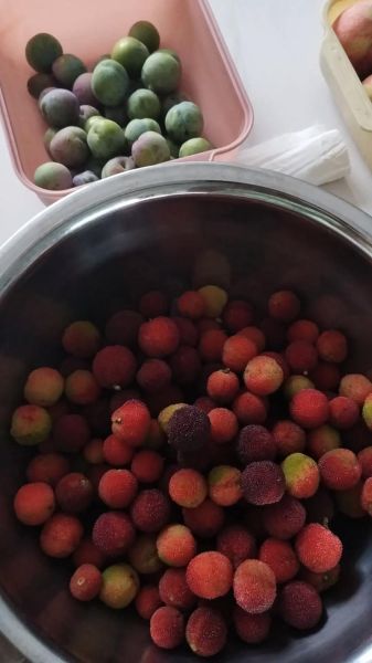 杨梅怎么吃比较好_杨梅怎么洗才干净-第1张图片-山城妙识