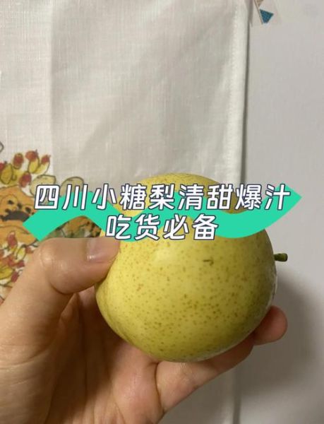 小糖梨的功效与作用_小糖梨适合什么人吃-第2张图片-山城妙识 小糖梨的功效与作用_小糖梨适合什么人吃-第2张图片-山城妙识