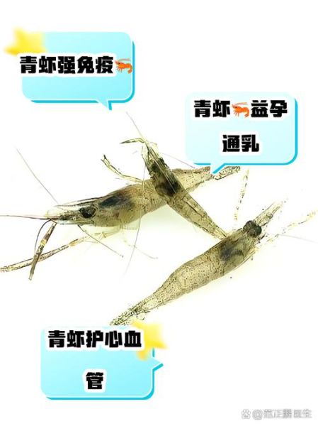 青虾养殖技术要点_如何提高青虾成活率-第2张图片-山城妙识