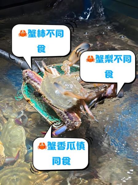 吃螃蟹不能吃什么_吃螃蟹的禁忌食物有哪些-第2张图片-山城妙识 吃螃蟹不能吃什么_吃螃蟹的禁忌食物有哪些-第2张图片-山城妙识