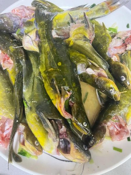 红烧黄辣丁鱼怎么做好吃_家常做法步骤-第3张图片-山城妙识