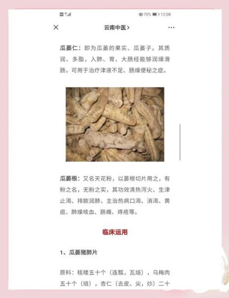 瓜蒌皮注射药说明书_瓜蒌皮注射液怎么用-第1张图片-山城妙识