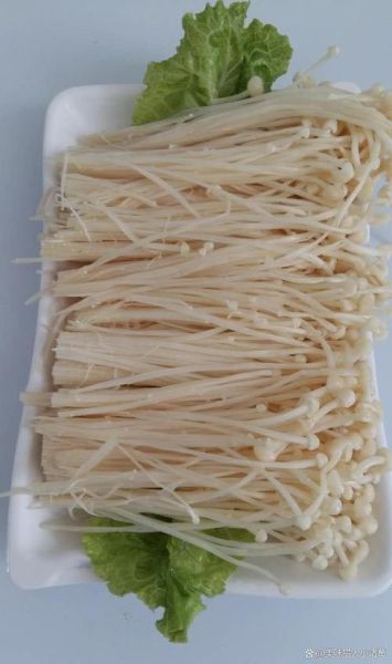 超越火锅鸡秘方香料有哪些_如何复刻正宗味道-第2张图片-山城妙识 超越火锅鸡秘方香料有哪些_如何复刻正宗味道-第2张图片-山城妙识