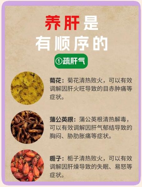 什么泡水喝养肝护肝_养肝护肝喝什么茶好-第2张图片-山城妙识