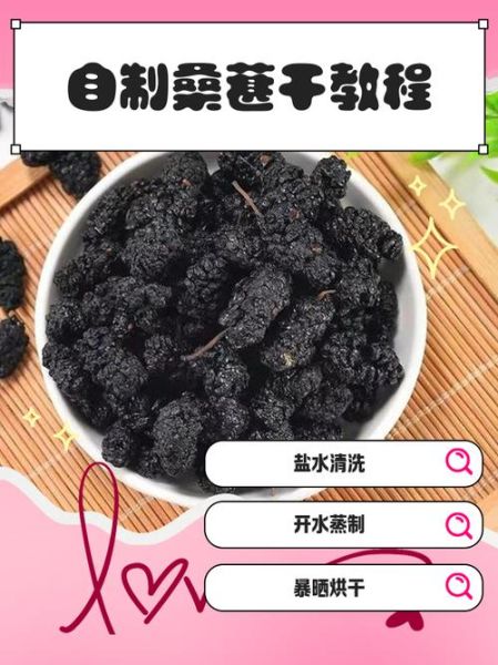 家里如何自制桑葚干_桑葚干怎么做才好吃-第1张图片-山城妙识 家里如何自制桑葚干_桑葚干怎么做才好吃-第1张图片-山城妙识