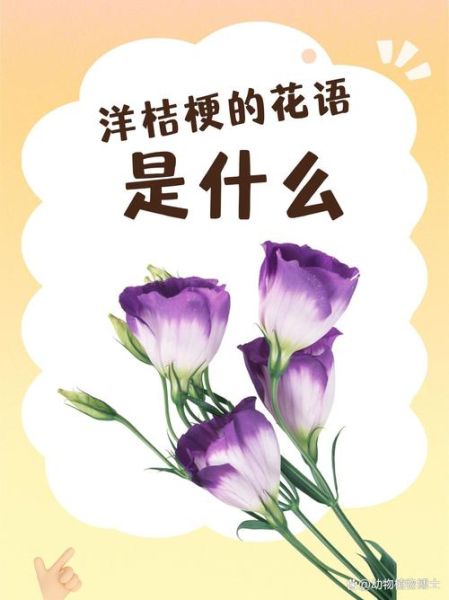 洋桔梗花语是什么_洋桔梗适合送什么人-第2张图片-山城妙识