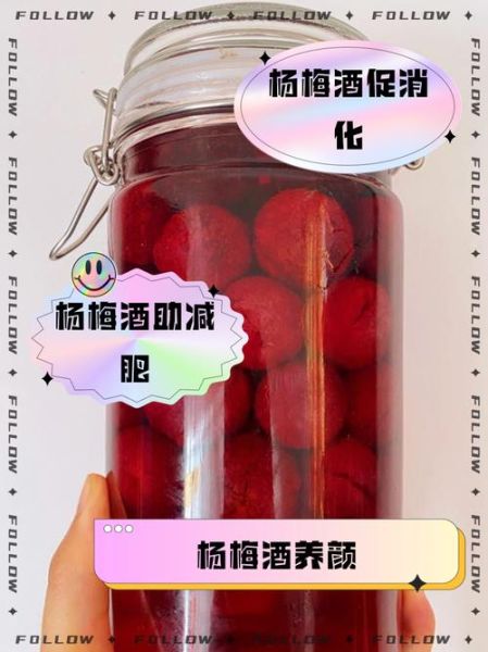 杨梅酒的功效与作用_什么人不能喝杨梅酒-第3张图片-山城妙识