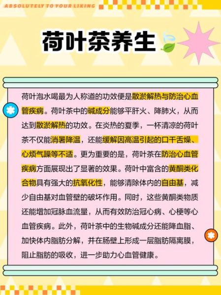 荷叶的功效与作用及用量_荷叶减肥一天喝多少克-第3张图片-山城妙识 荷叶的功效与作用及用量_荷叶减肥一天喝多少克-第3张图片-山城妙识