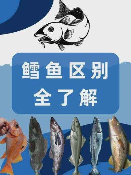 龙鳕鱼图片及价格_龙鳕鱼多少钱一斤-第2张图片-山城妙识